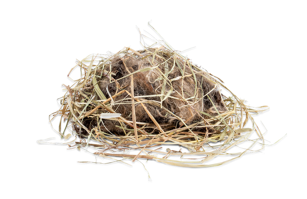 What materials do birds use for their nests?