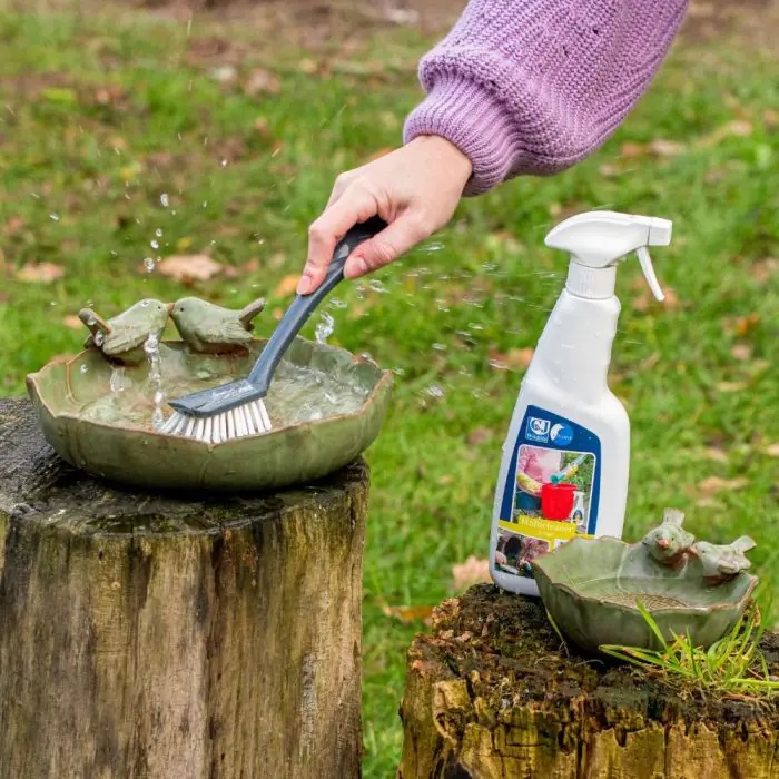 How to clean a bird bath